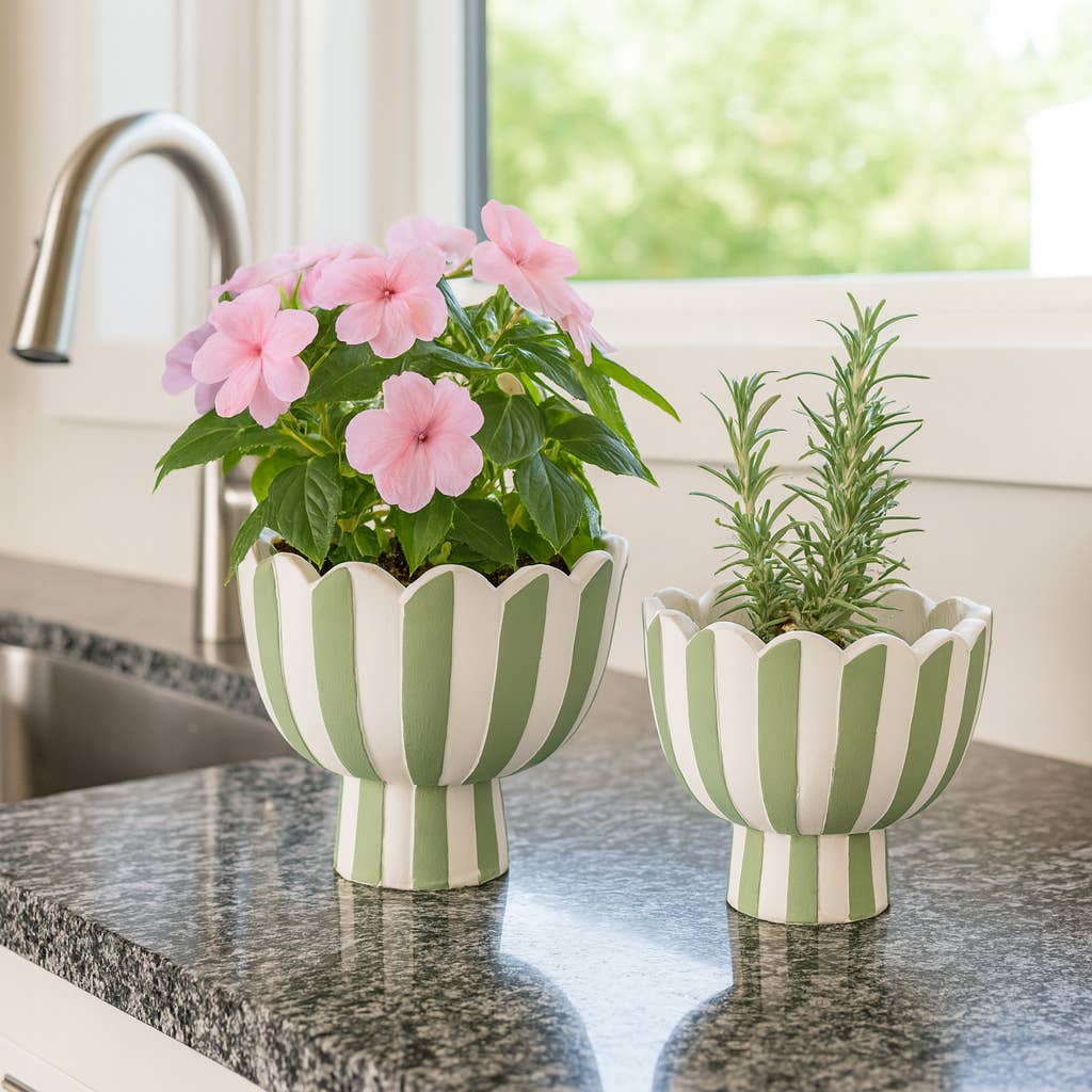Ceramic Scalloped Striped Planter - Green – Picture Perfect Kitchen Home