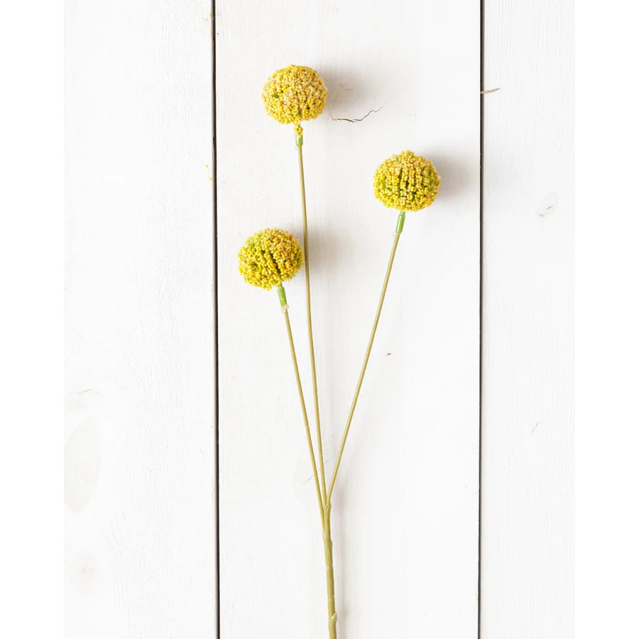 Branch Yellow Billy Buttons | Picture Perfect Kitchen Designs – Picture ...