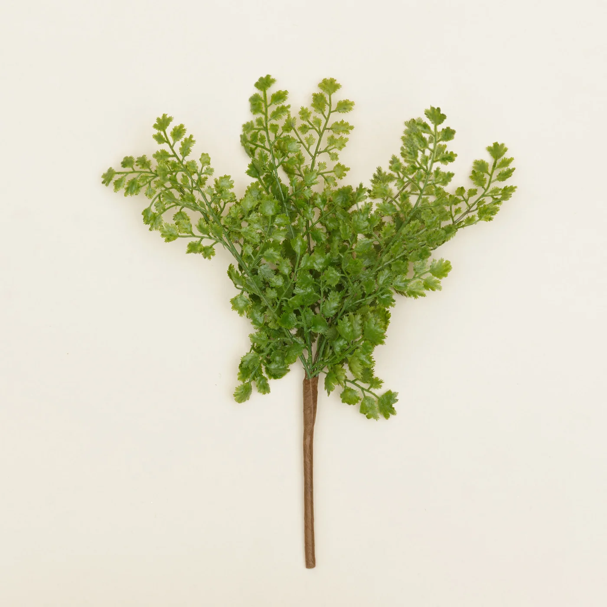 Fern Pick | Picture Perfect Kitchen Designs – Picture Perfect Kitchen Home